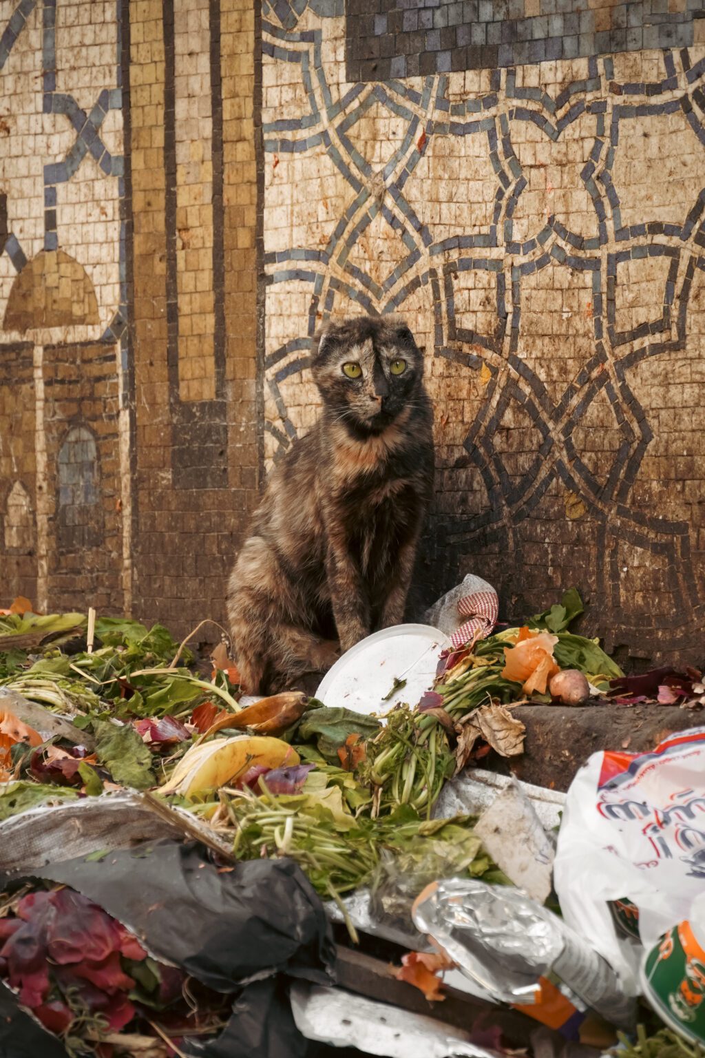 Visiter Le Caire en un jour : mes 5 lieux incontournables